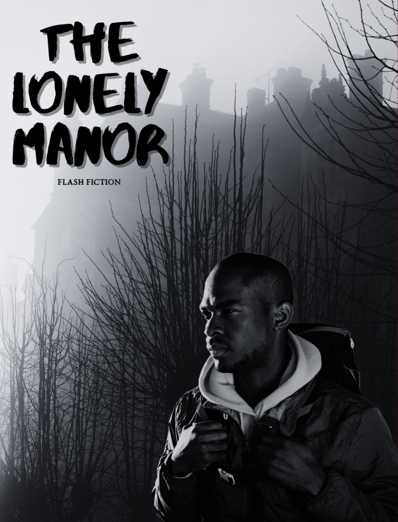 Storytelling Saturday: The Lonely Manor - INTELLECTUAL INK